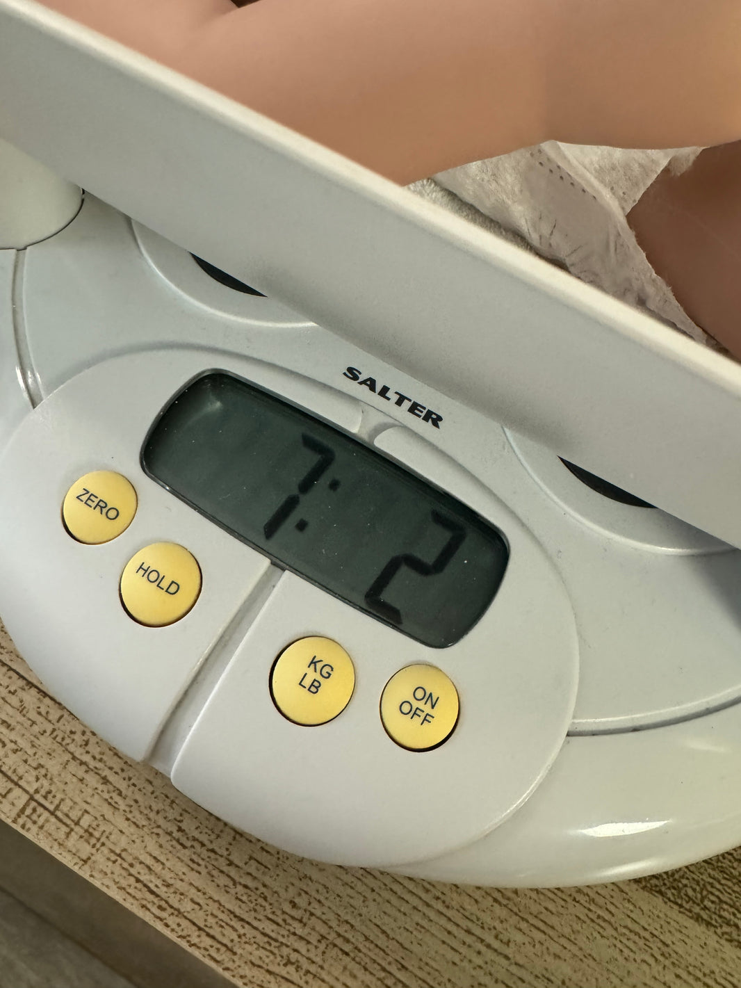 Luna Moona Doll Nursery